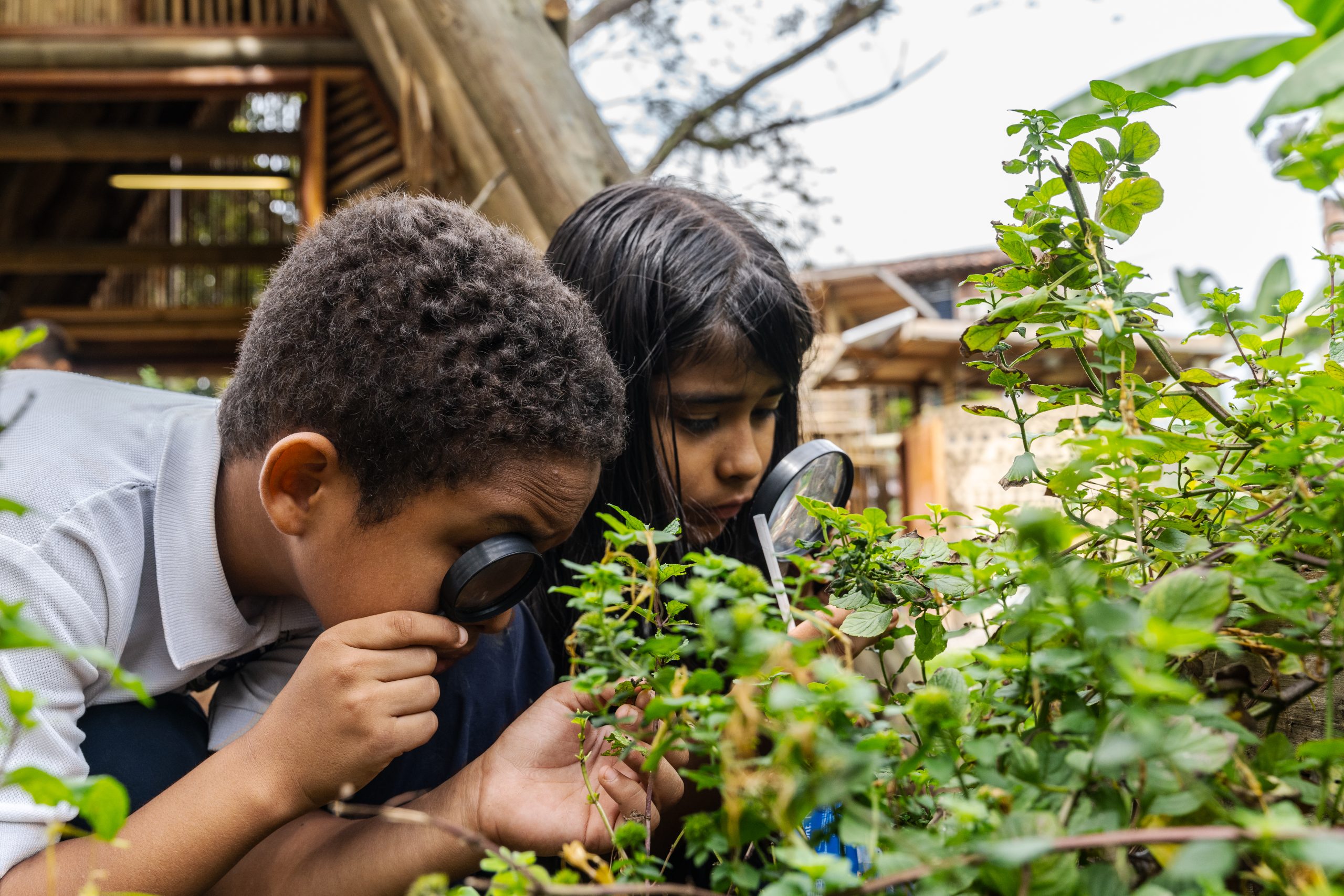 Outdoor learning labs are one way to boost science class time